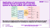 Evaluating the clinical impact of integrating superb microvascular ...