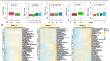 TAGLN: a stiffness-driven prognostic biomarker for metastatic ...