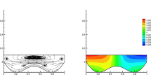 Coupled and Decoupled Stabilized Finite Element Methods for the Stokes–Darcy-Transport Problem ...