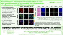 Evaluation of tumor microvasculature with 3D ultrasound localization ...