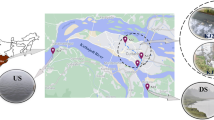 Integrated physicochemical and metagenomic analysis of the Ganges River ...