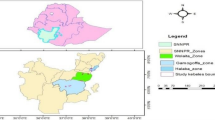 Impact of cluster farming on technical efficiency and food security ...