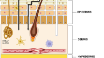 The future of vesicular drug delivery: transferosomes in therapeutic ...