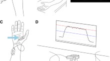 Articles | Experimental Brain Research