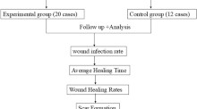 Volume 49, Issue 17 | Aesthetic Plastic Surgery | Springer Nature Link