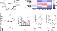 Articles | Basic Research in Cardiology | Springer Nature Link