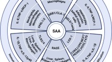 Articles | Basic Research in Cardiology | Springer Nature Link