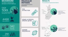 Pan-European tick distributions: where are they now, and where are they ...