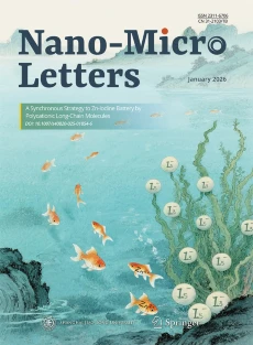 Nanobiomedicine | SpringerLink