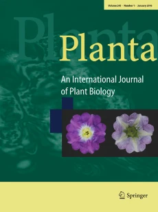 Planta Centennial: Revisiting Key Research Published in Planta's First ...