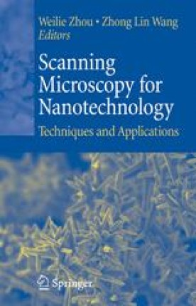 Scanning Microscopy for Nanotechnology | SpringerLink