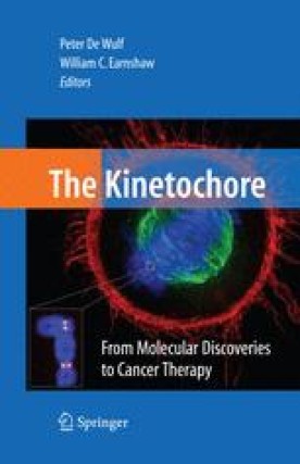 Post-Translational Modifications that Regulate Kinetochore Activity ...