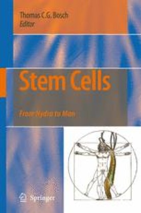 Stem Cells | SpringerLink