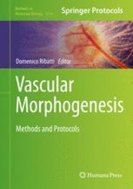 Cell-Based Computational Modeling of Vascular Morphogenesis Using Tissue Simulation Toolkit ...