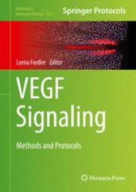 VEGF Splicing and the Role of VEGF Splice Variants: From Physiological ...