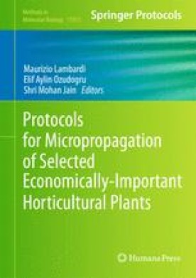 Micropropagation of Rubus and Ribes spp. | SpringerLink