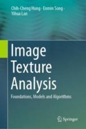 Image Texture Analysis | SpringerLink