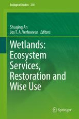 Wetland Functions and Ecosystem Services: Implications for Wetland ...