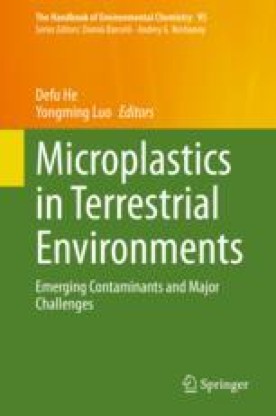 Interaction of Microplastics and Heavy Metals: Toxicity, Mechanisms ...