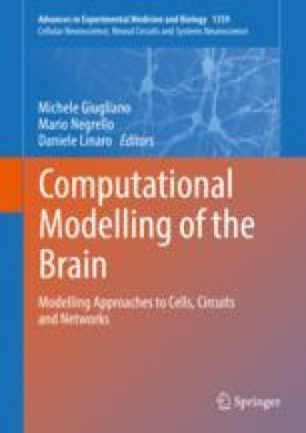 Computational Modelling of the Brain | SpringerLink