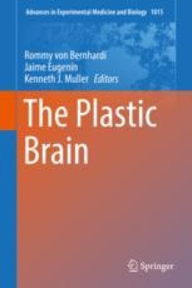 What Is Neural Plasticity? | SpringerLink