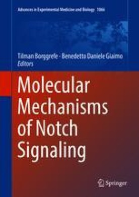 Notch and Senescence | SpringerLink