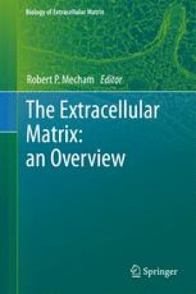 The Extracellular Matrix: an Overview | SpringerLink