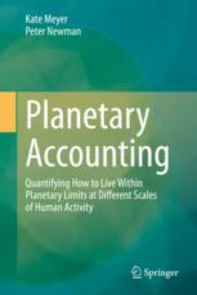 Planetary Accounting | SpringerLink