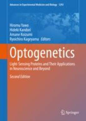 Nonhuman Primate Optogenetics: Current Status and Future Prospects ...