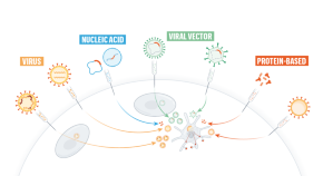 Coronavirus and COVID-19 updates
