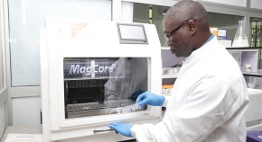 The human genome at 20