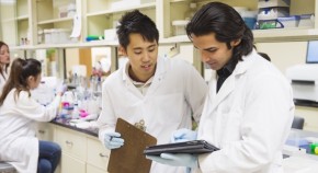 How to collaborate in science