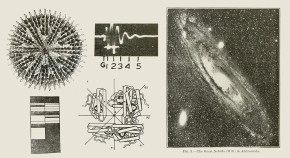 Reviews & Analysis | Nature