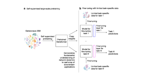 Synthetic biology - Latest research and news | Nature