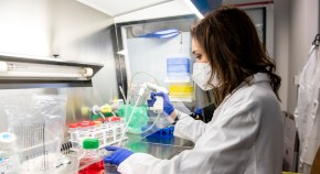 Proteomics - Latest research and news | Nature