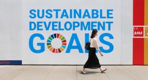 Progress towards the Sustainable Development Goals
