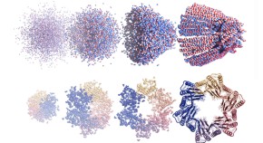 Proteomics - Latest research and news | Nature