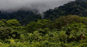 Atmospheric science - Latest research and news | Nature