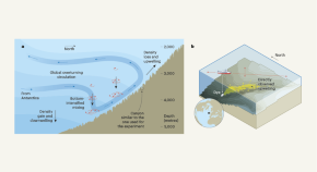 Ocean sciences - Latest research and news | Nature