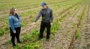 Agriculture - Latest research and news | Nature