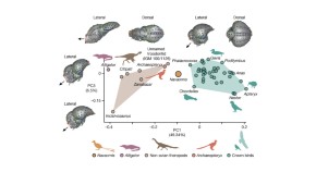 Research Briefing | Nature