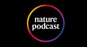 Machine learning - Latest research and news | Nature