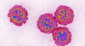 Research Highlights | Nature