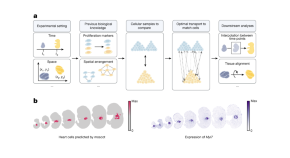 Machine learning - Latest research and news | Nature