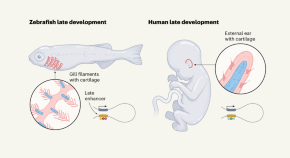 News & Views | Nature