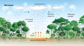 Climate sciences - Latest research and news | Nature