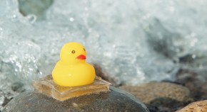 Machine learning - Latest research and news | Nature