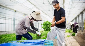 Focal Point on Food Security in Japan