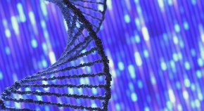 Zhongguancun Life Science Park: A biomedical innovation hub