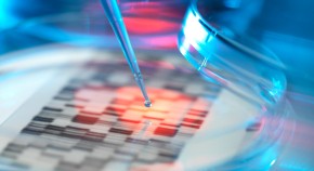 Zhongguancun Life Science Park: A biomedical innovation hub